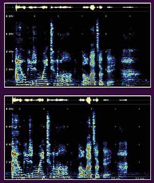 Temporal Pattern Processing of Hearing Instruments | The Hearing Review